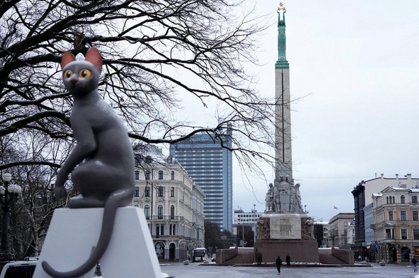 Oscar 2025: como o gatinho de 'Flow' se tornou um símbolo da Letônia