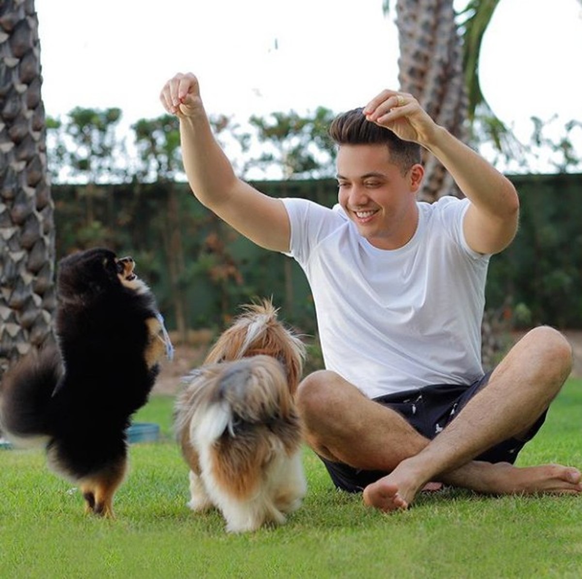 Cachorros de Wesley Safadão levam vida de rei: 'Eles são celebridades ...