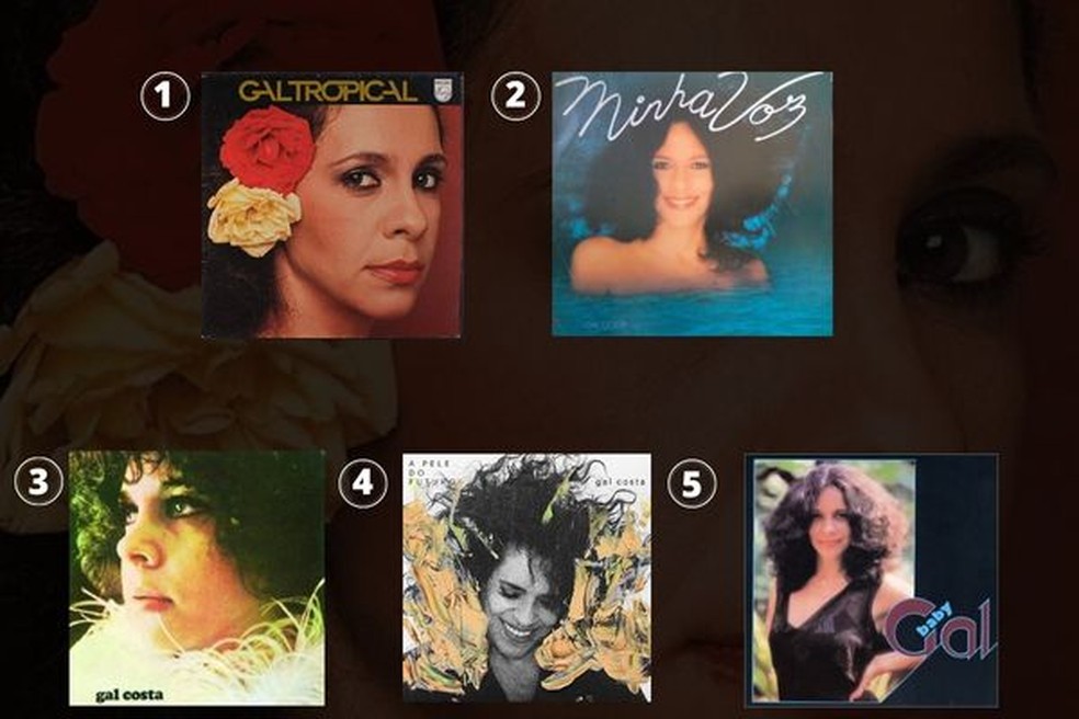 Inesquecível Gal Costa: 5 livros e 5 discos para conhecer a vida e obra da cantora