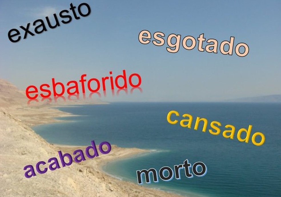 Deborah Secco se rende ao meme da vez e o Twitter pira!