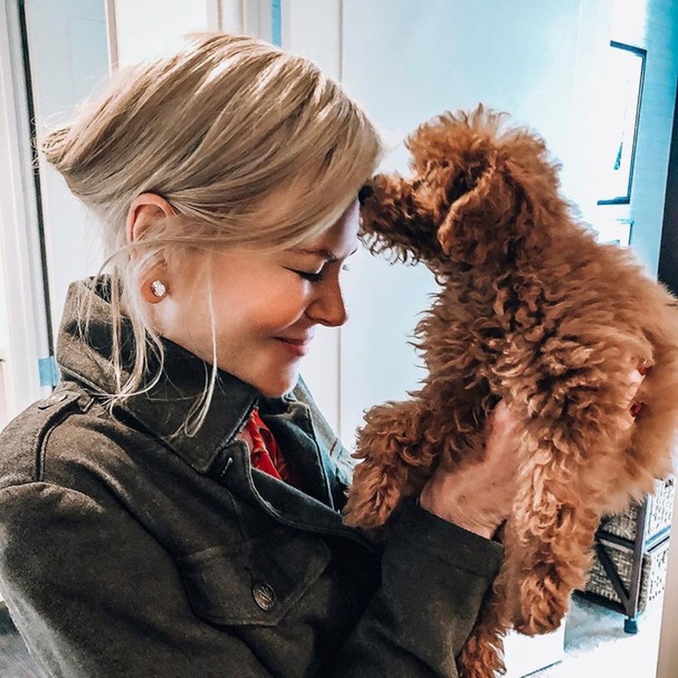 Nicole Kidman comemora seu primeiro cachorrinho aos 52: 'Esperei a vida ...