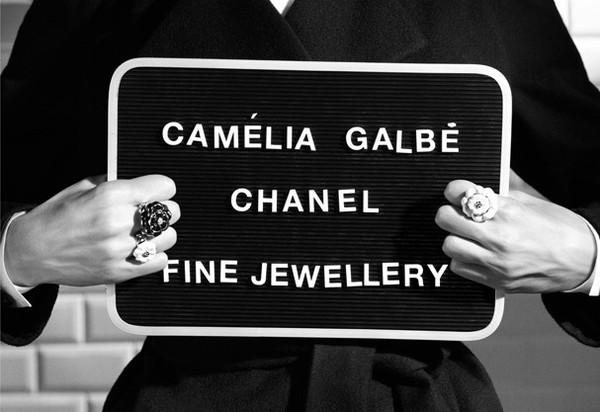 Camélia Galbé: confira as incríveis joias da nova coleção da Chanel