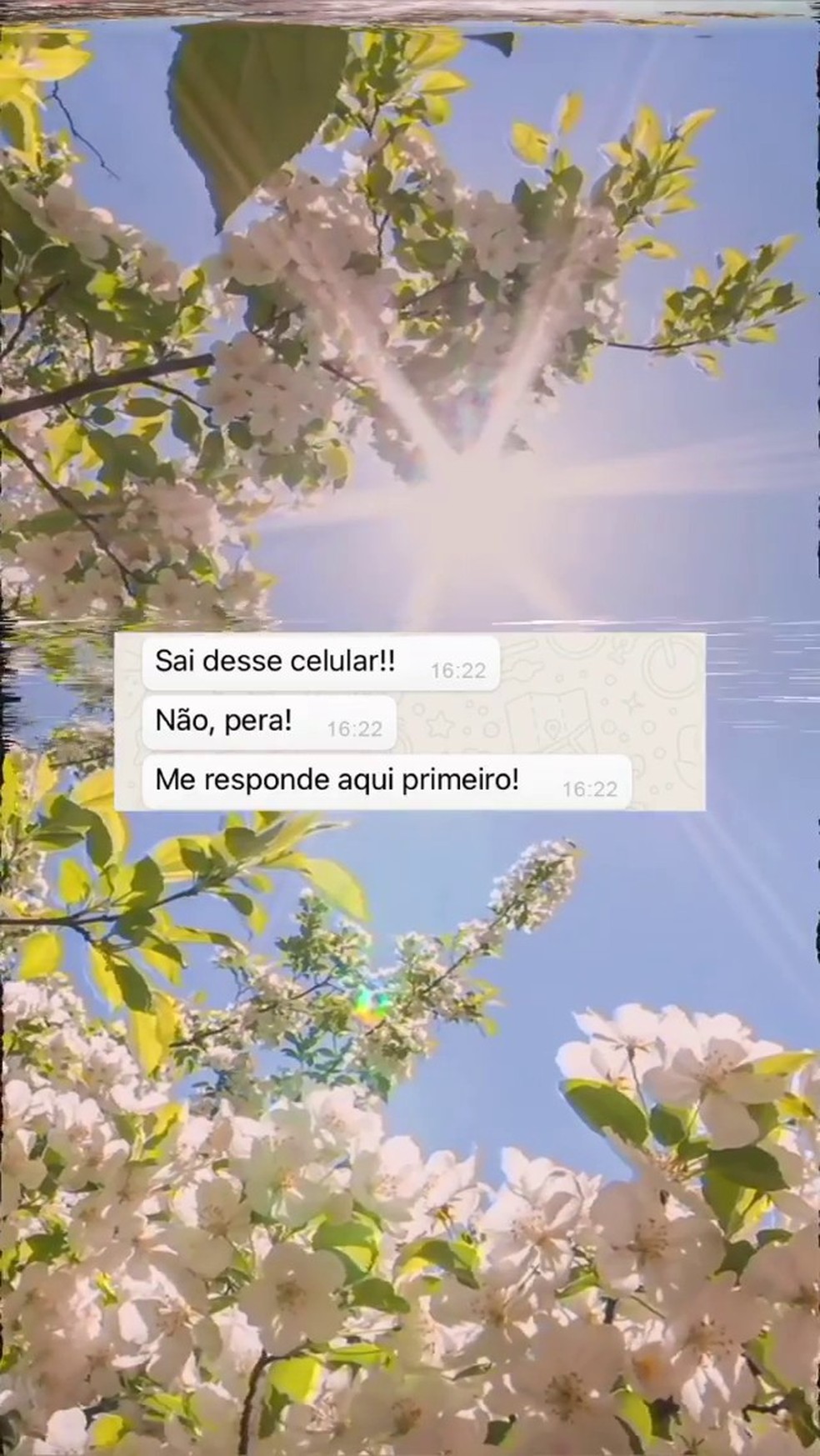 Deborah Secco entra em meme e mostra mensagens do marido Hugo Moura