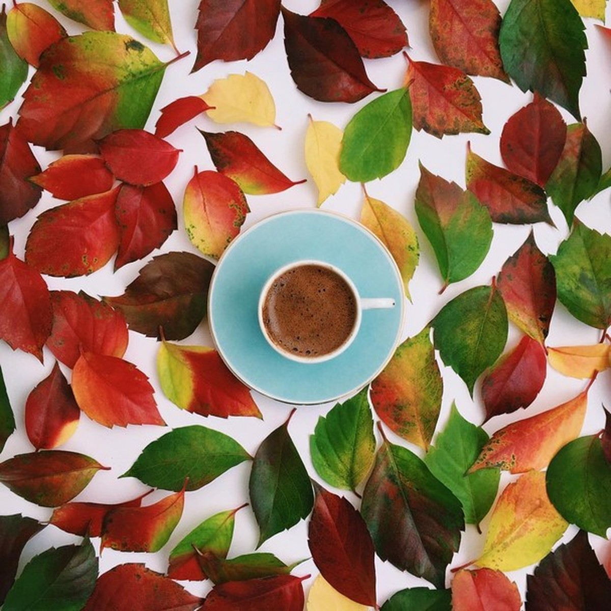 8 motivos para celebrar o Dia Nacional do Café bebendo... café, óbvio!