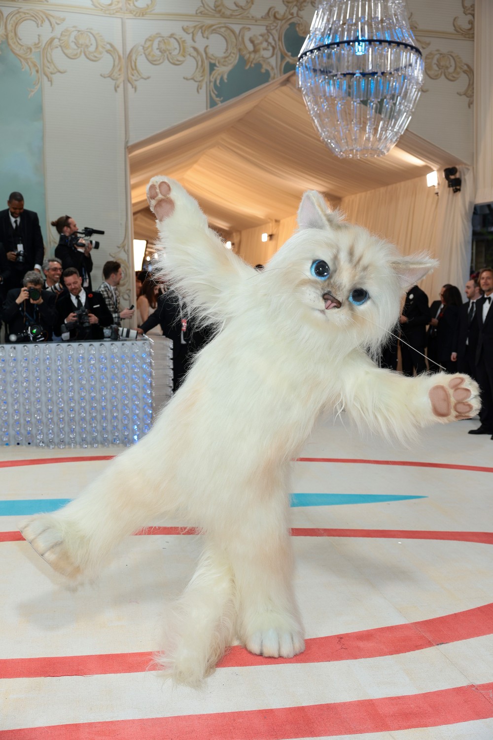 Met Gala 2023: Jared Leto surpreende ao revelar que era o 'gato' do ...