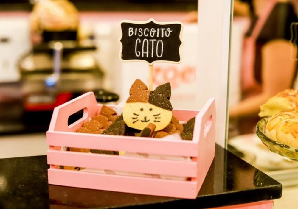 Gato Café: no Rio de Janeiro, é possível ir tomar um café, brincar ou ...
