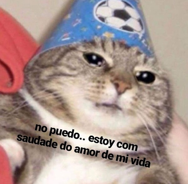 Gordito y cansadito: destrinchamos a criação do melhor meme de 2019 ...