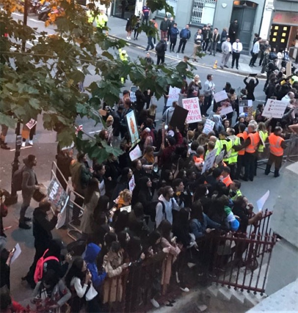 LFW: Desfile da Burberry é alvo de protestos por direitos dos animais