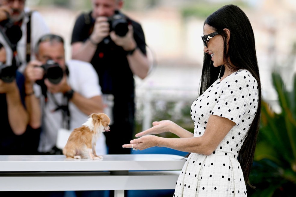 Demi Moore leva cachorrinha para Festival de Cannes e animal rouba cena ...