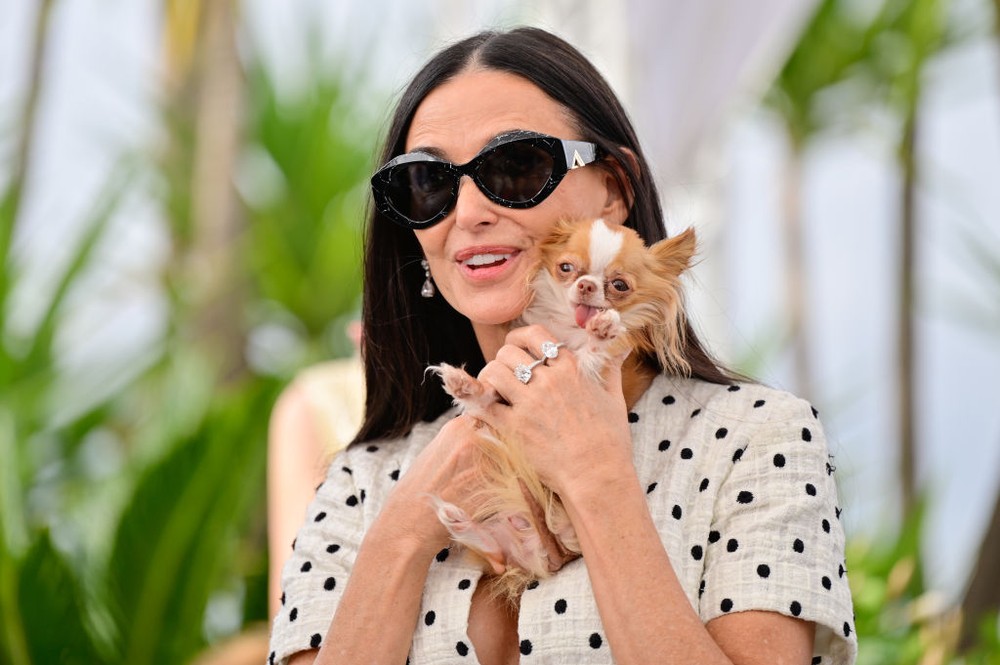 Demi Moore leva cachorrinha para Festival de Cannes e animal rouba cena ...