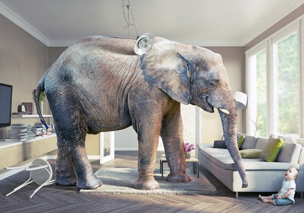 As 15 fotos mais sem sentido de banco de imagens de todos os tempos