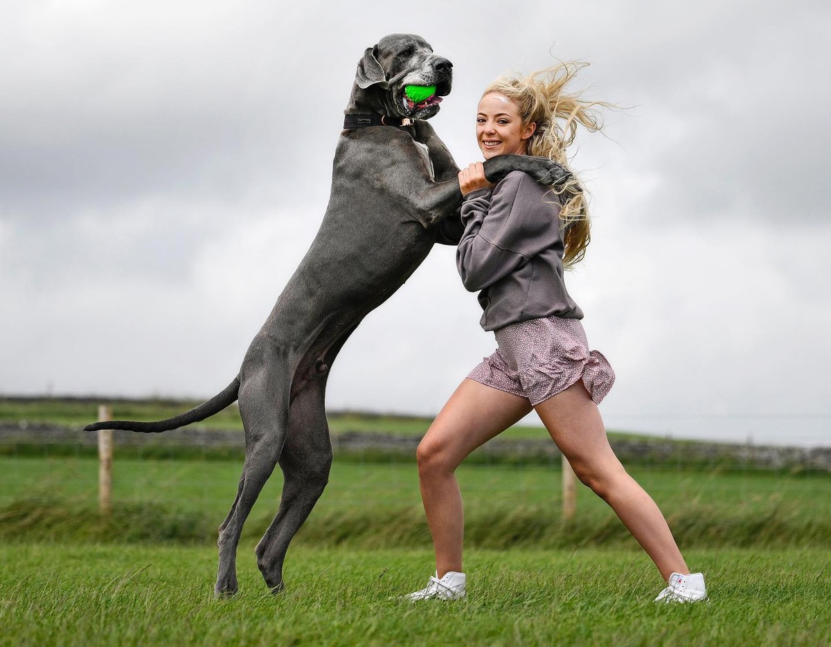 Amigo gigante! Mulher viraliza ao mostrar pet maior que ela
