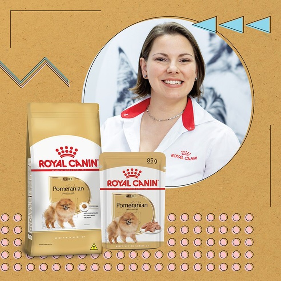 Saiba como fornecer mais saúde para cães Lulu da Pomerânia por meio da ...