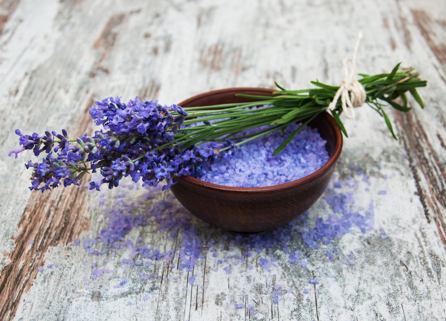 Lavanda: onde e como usá-la para melhorar a saúde mental?