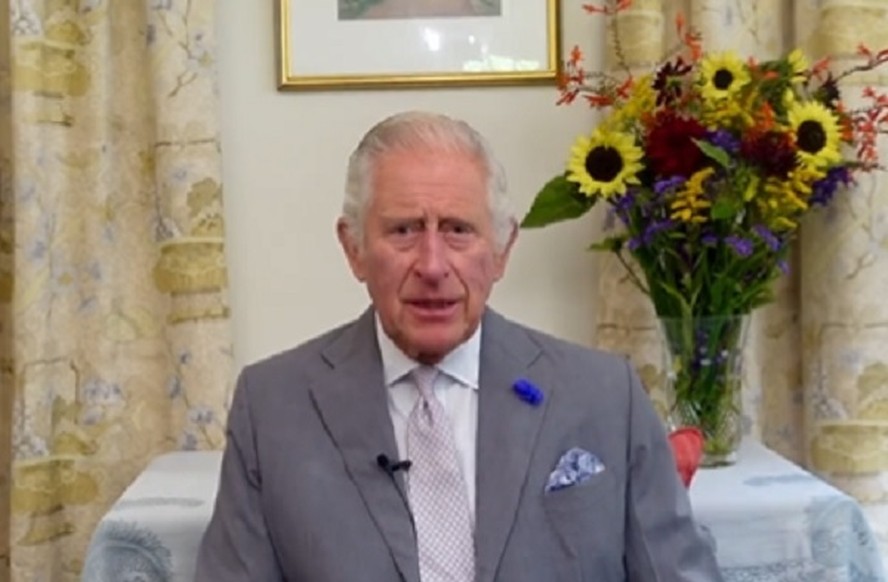 Príncipe Charles escolhe nome para bebê gorila da Ruanda: 'Ubwuzuzanye'