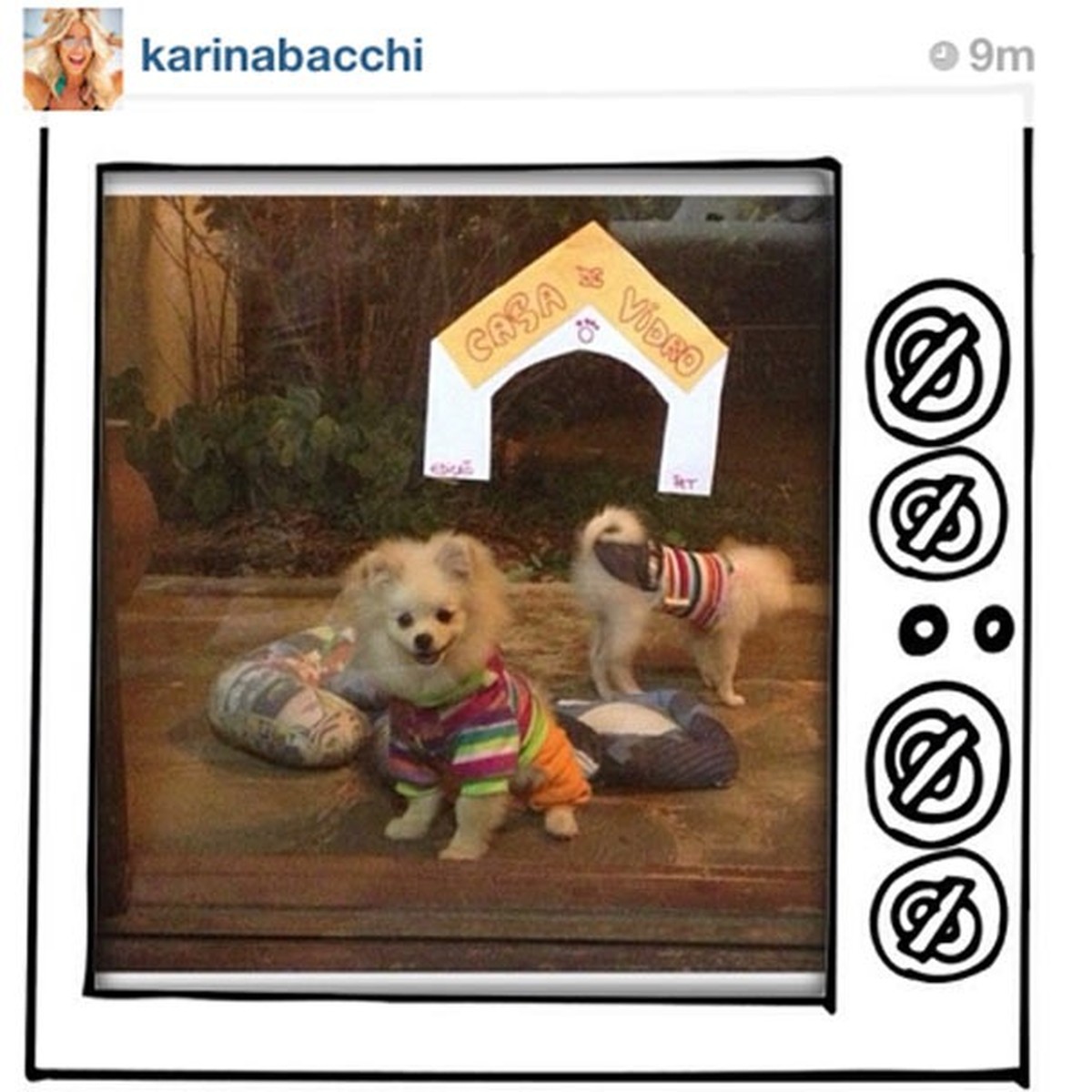 Joy no PBB: Pet Brother Brasil