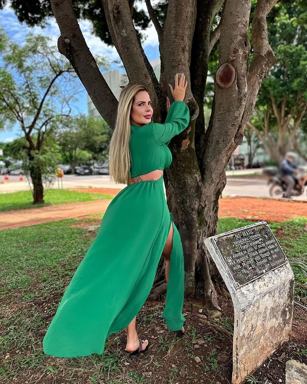 Denise Rocha diz que começou relação com árvore pau-brasil: 'Conexão'