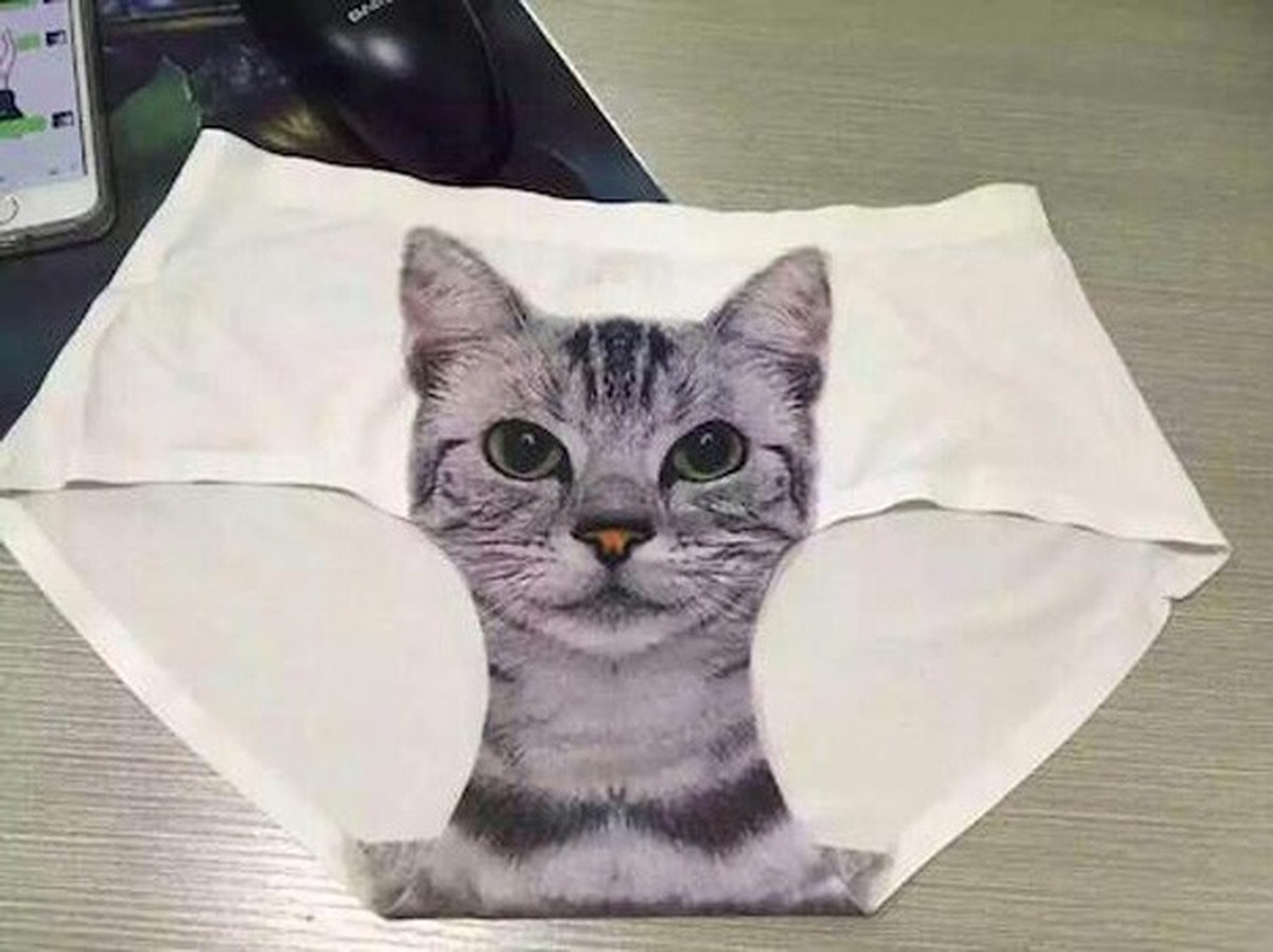 Calcinha de gato é a nova tendência fashion da internet