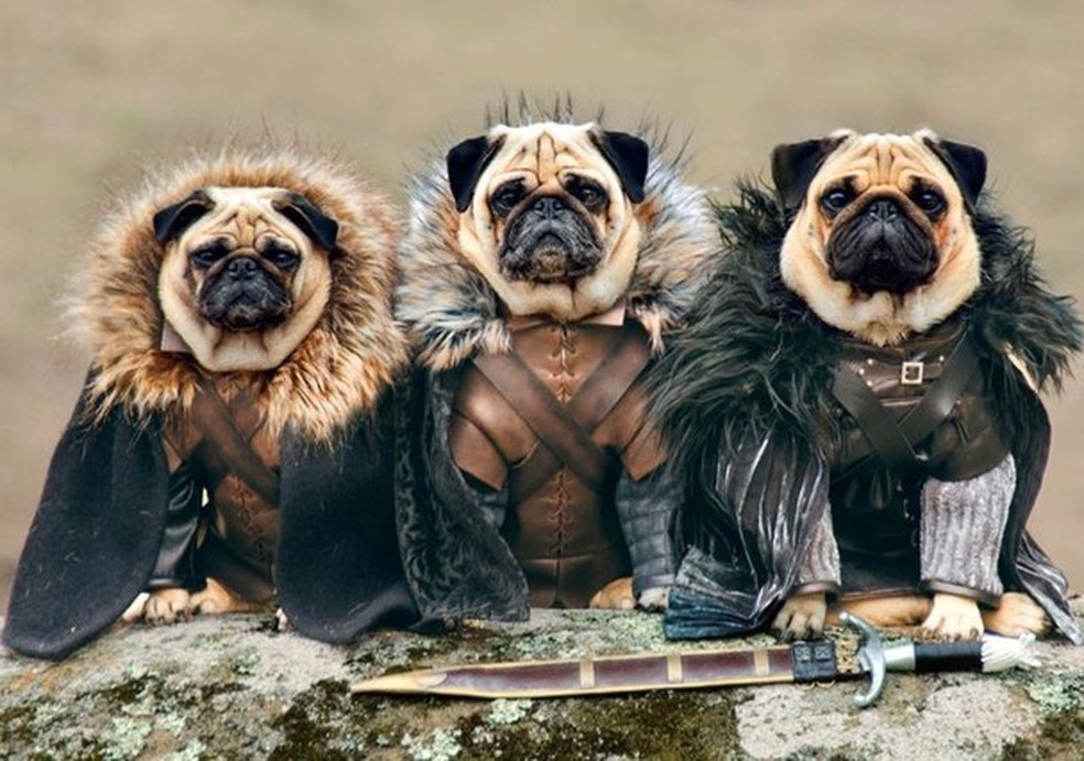 Game of Thrones ganha versão com pugs