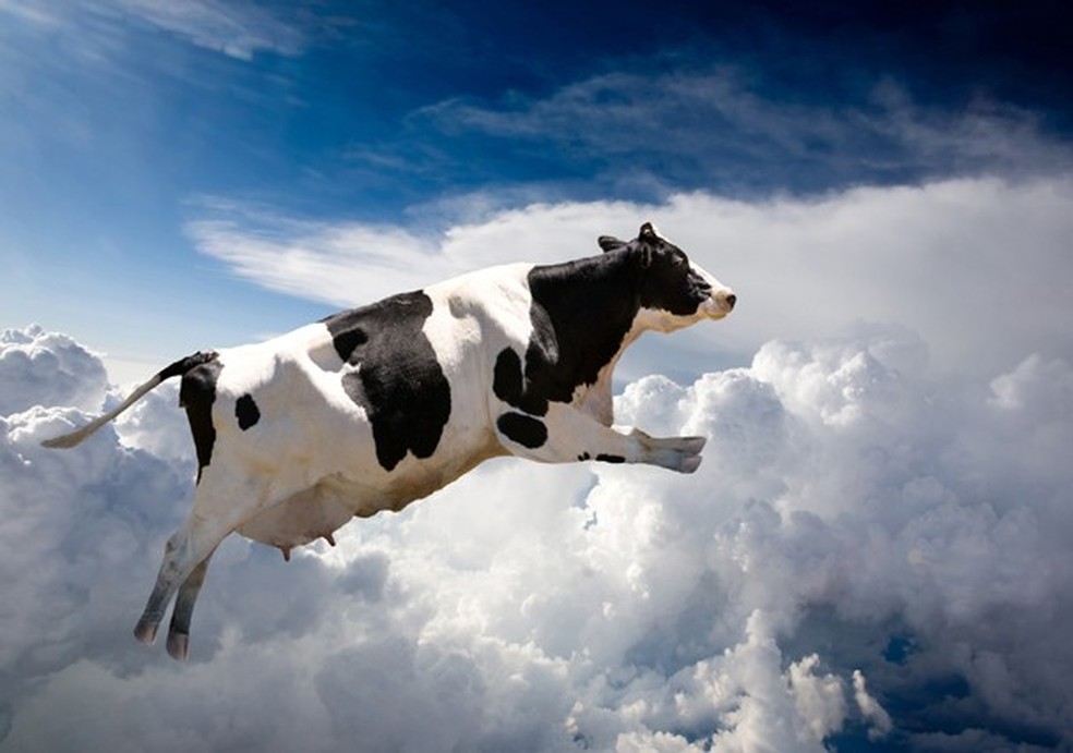 As 15 fotos mais sem sentido de banco de imagens de todos os tempos