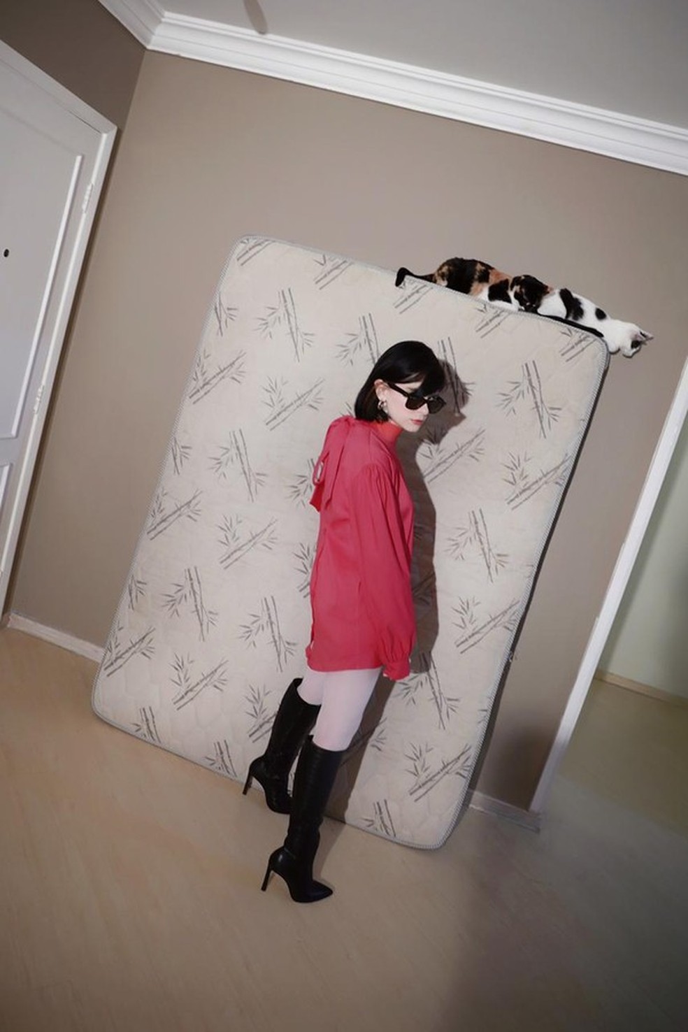 Anacê faz campanha com a ajuda de amigos (sem contato físico) e o ...