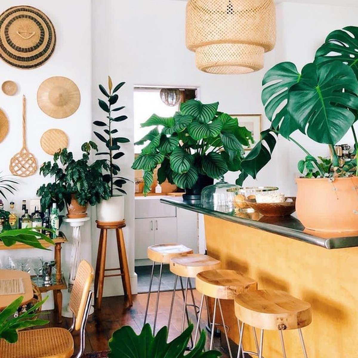 Como montar um jardim em casa? Paisagista ensina