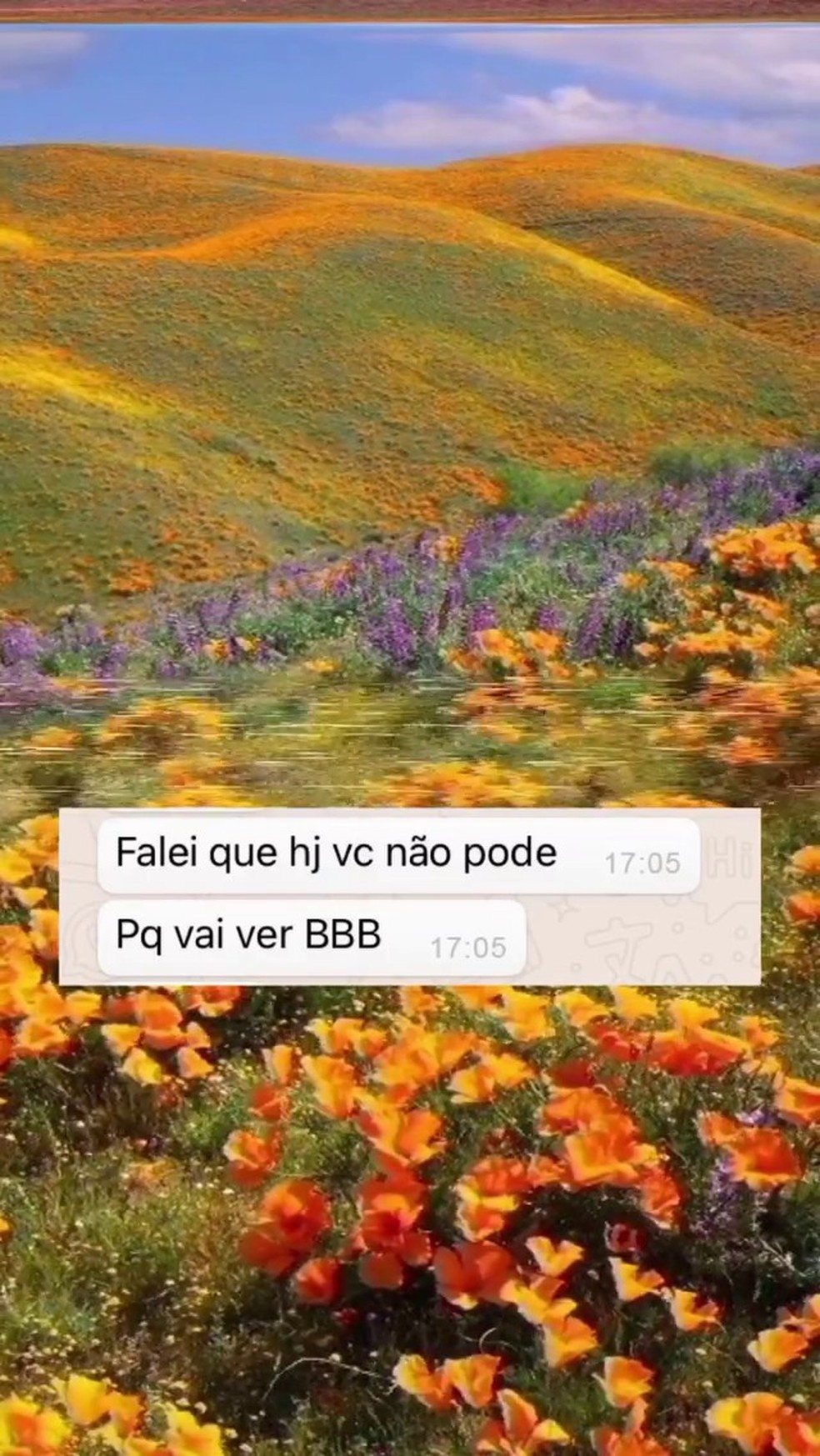 Deborah Secco entra em meme e mostra mensagens do marido Hugo Moura