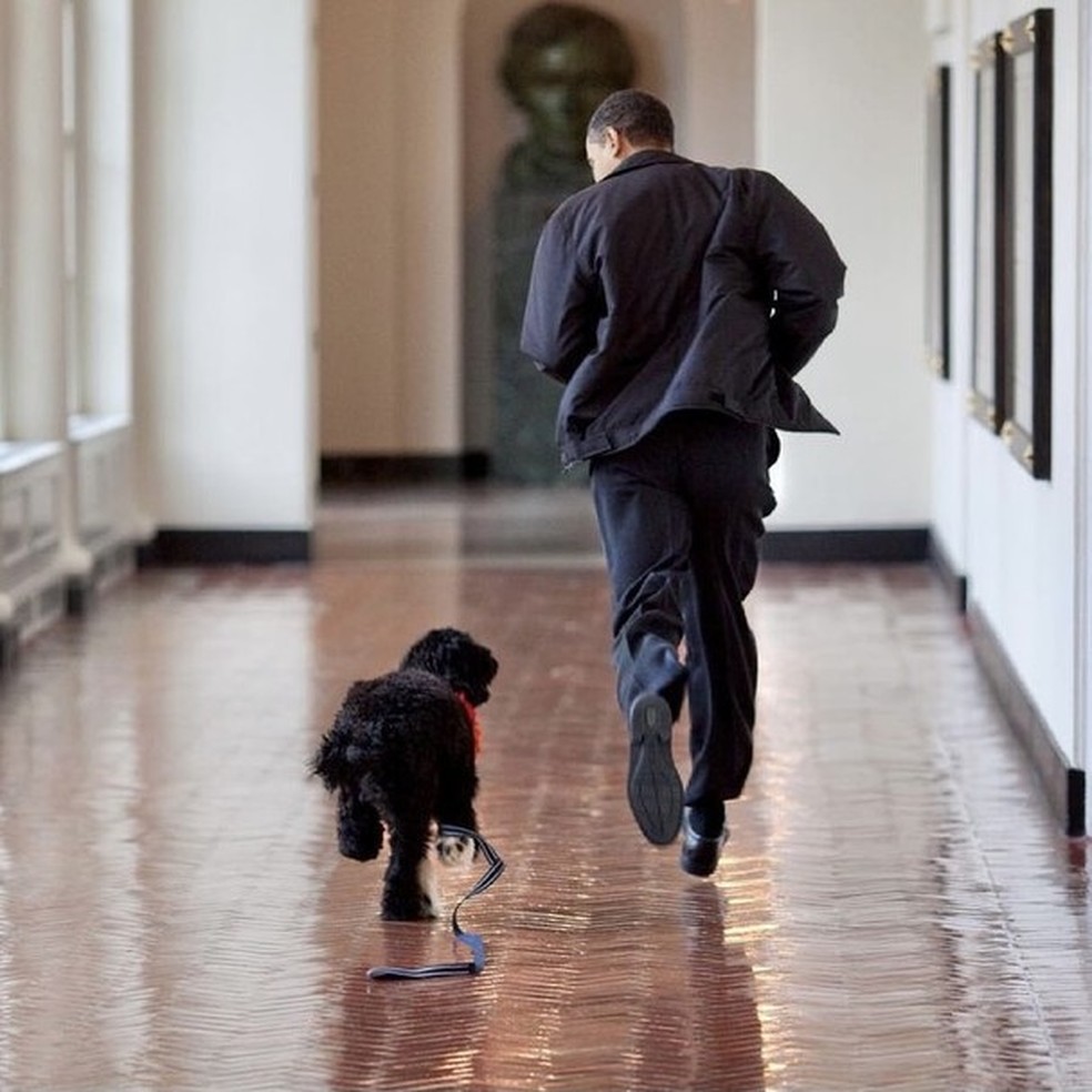 Michelle e Obama lamentam morte de cachorro da família