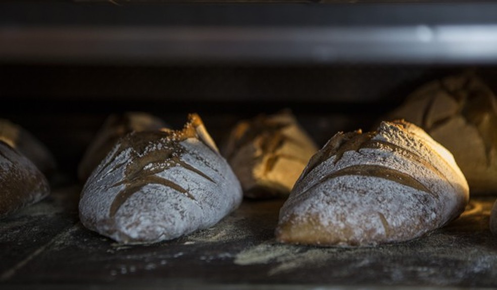 Pão italiano caseiro de tratoria tradicional? Faça você mesmo!