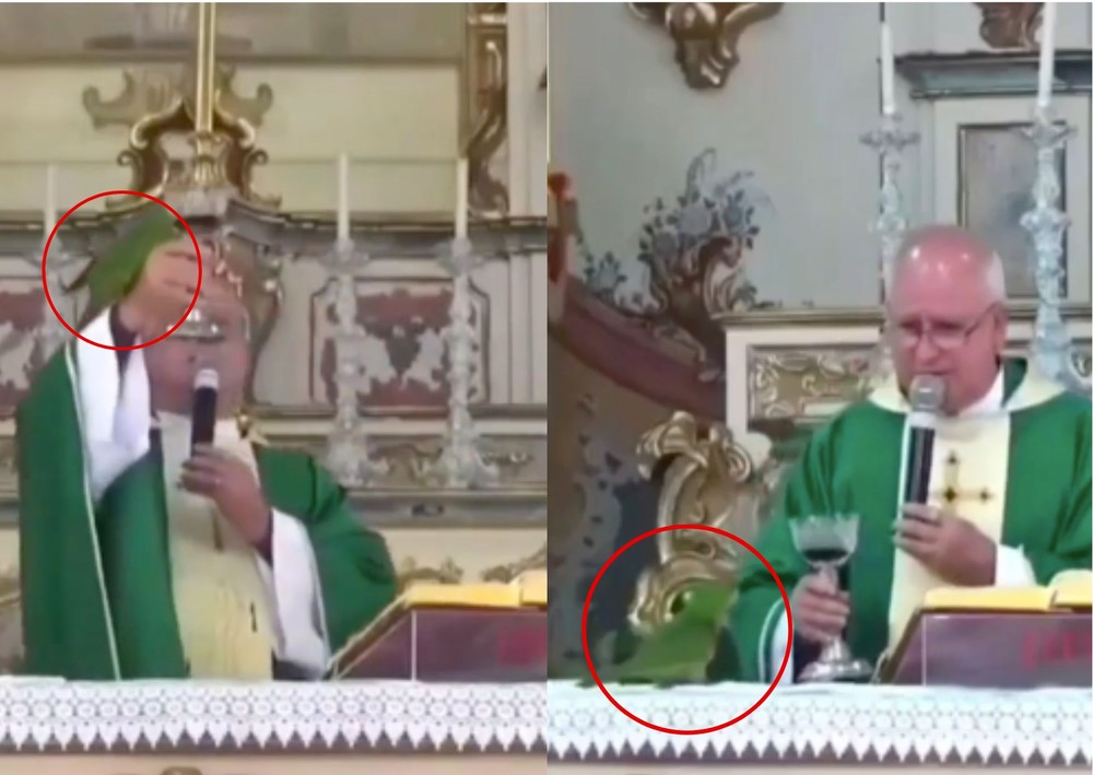 Viralizou! Maritaca invade missa e tenta beber vinho do padre