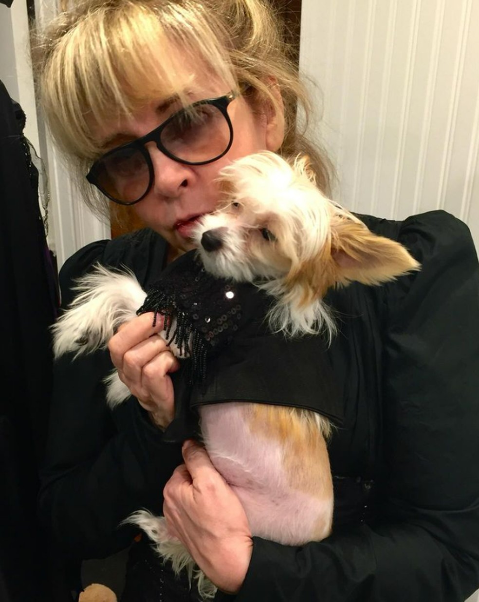 Celebridades americanas posam com pets em apoio a Kamala Harris; entenda