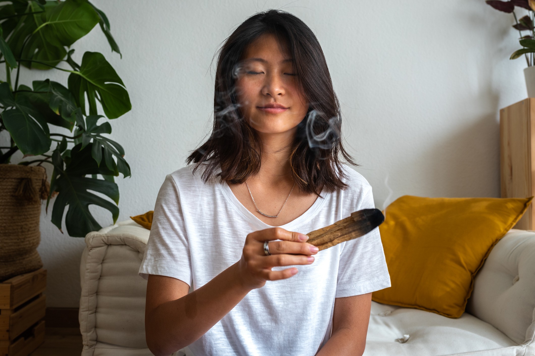 Palo Santo: o que é? Quais são os benefícios? Como usar?