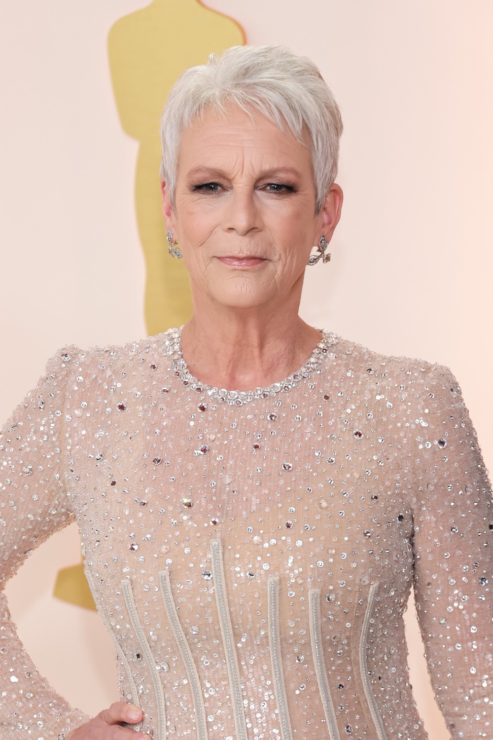 Jamie Lee Curtis e mais: famosas que falaram abertamente sobre ...