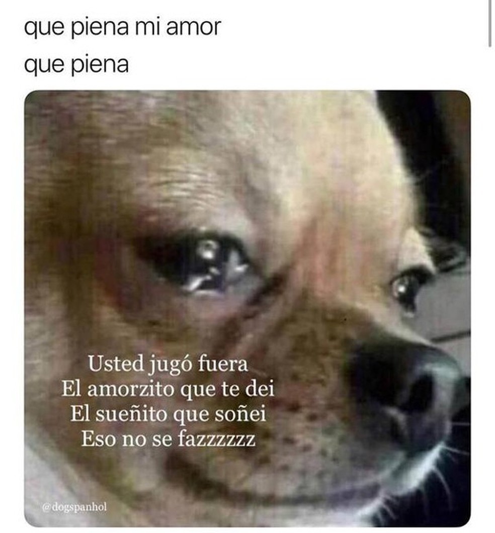 Gordito y cansadito: destrinchamos a criação do melhor meme de 2019 ...