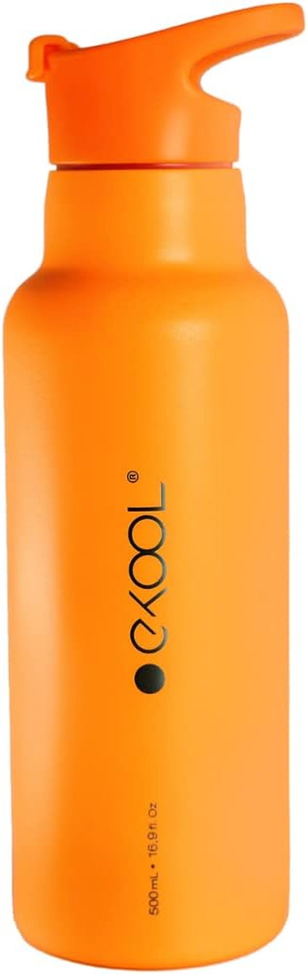 Top 10 garrafas térmicas: as melhores para manter sua água geladinha